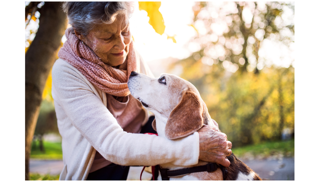 Sue: An Unexpected Retirement - Sister Carmen